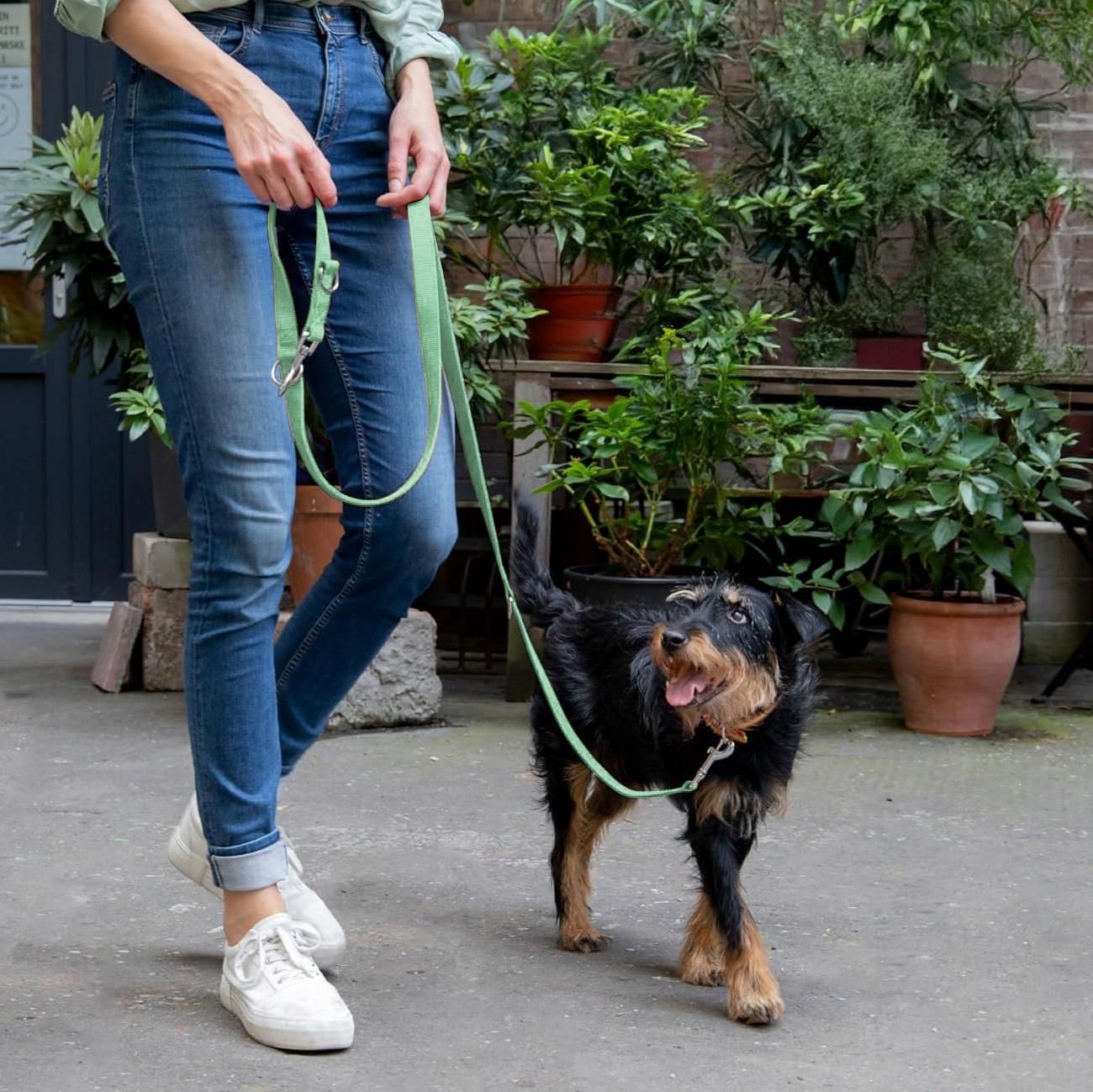 Lililove Smycz Regulowana Do Tresury Dla Psa Przepinana Na Tening ...