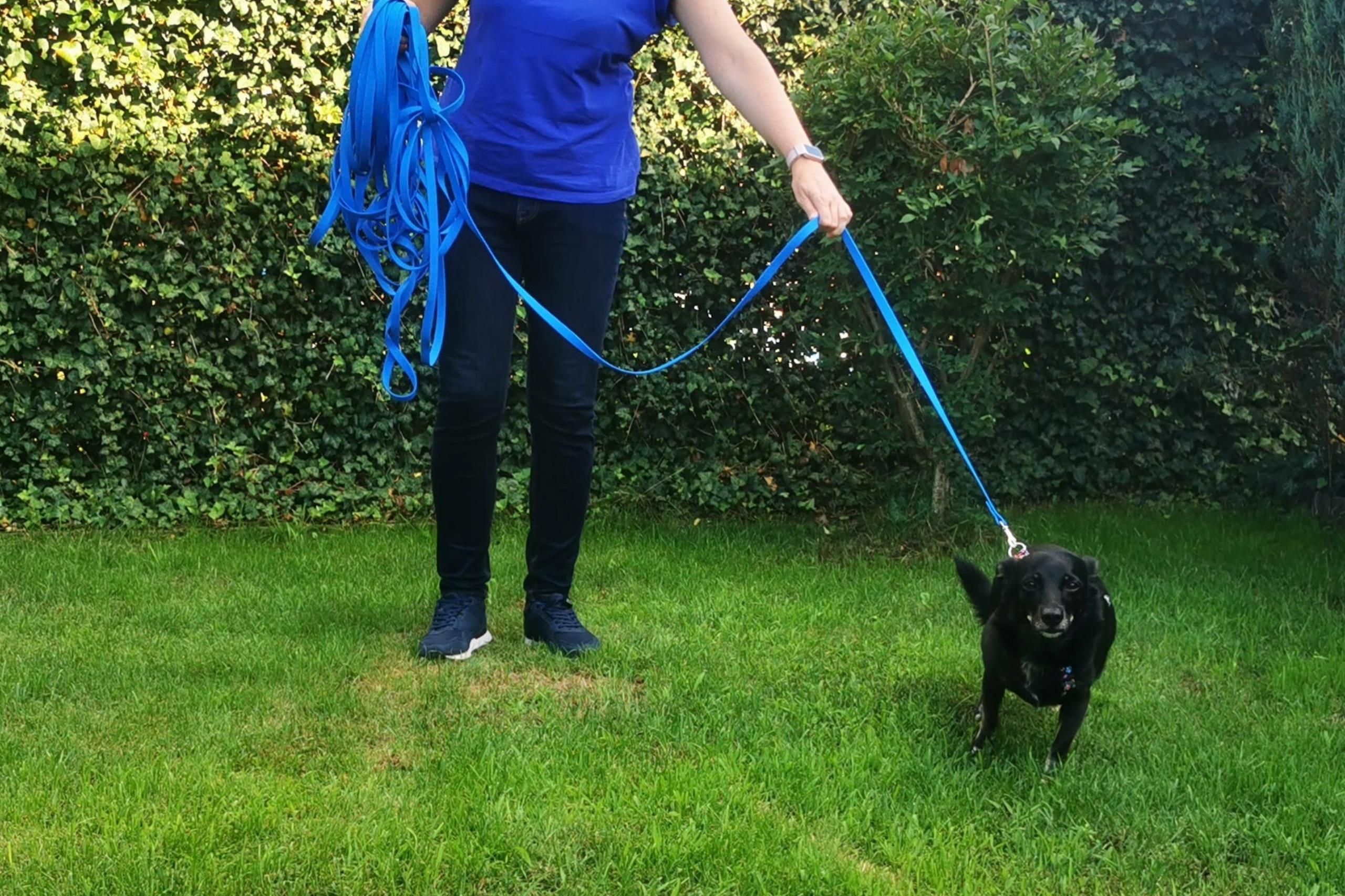 Nelson-X Smycz Treningowa Wodoodporna Pvc Biothane 20 M/1,5Cm Standard ...