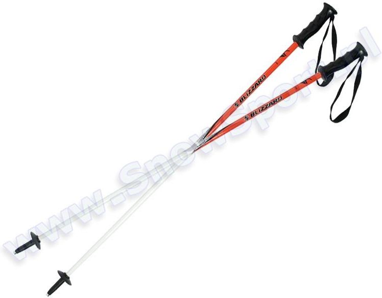 Blizzard Sport junior - Ceny i opinie - Ceneo.pl