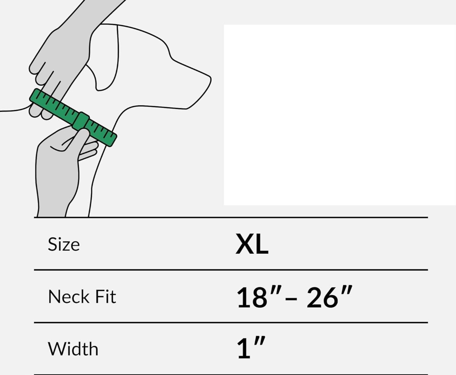 Obroża Dla Psa Kwiatowy Nadruk Regulowana Nylonowa Czarna 45-66Cm - Ceny i opinie - Ceneo.pl