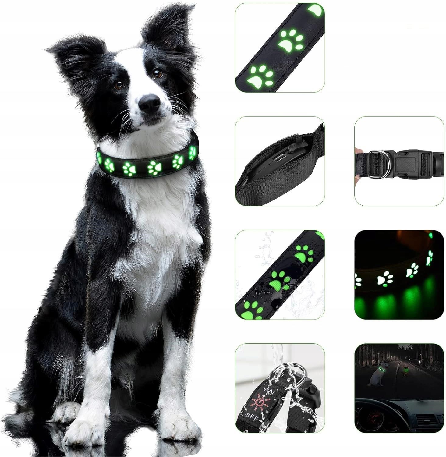 Inn Obroża Dla Psa Led Świecąca L Zielona Psia Łapa Mocna 50-60Cm 3 ...