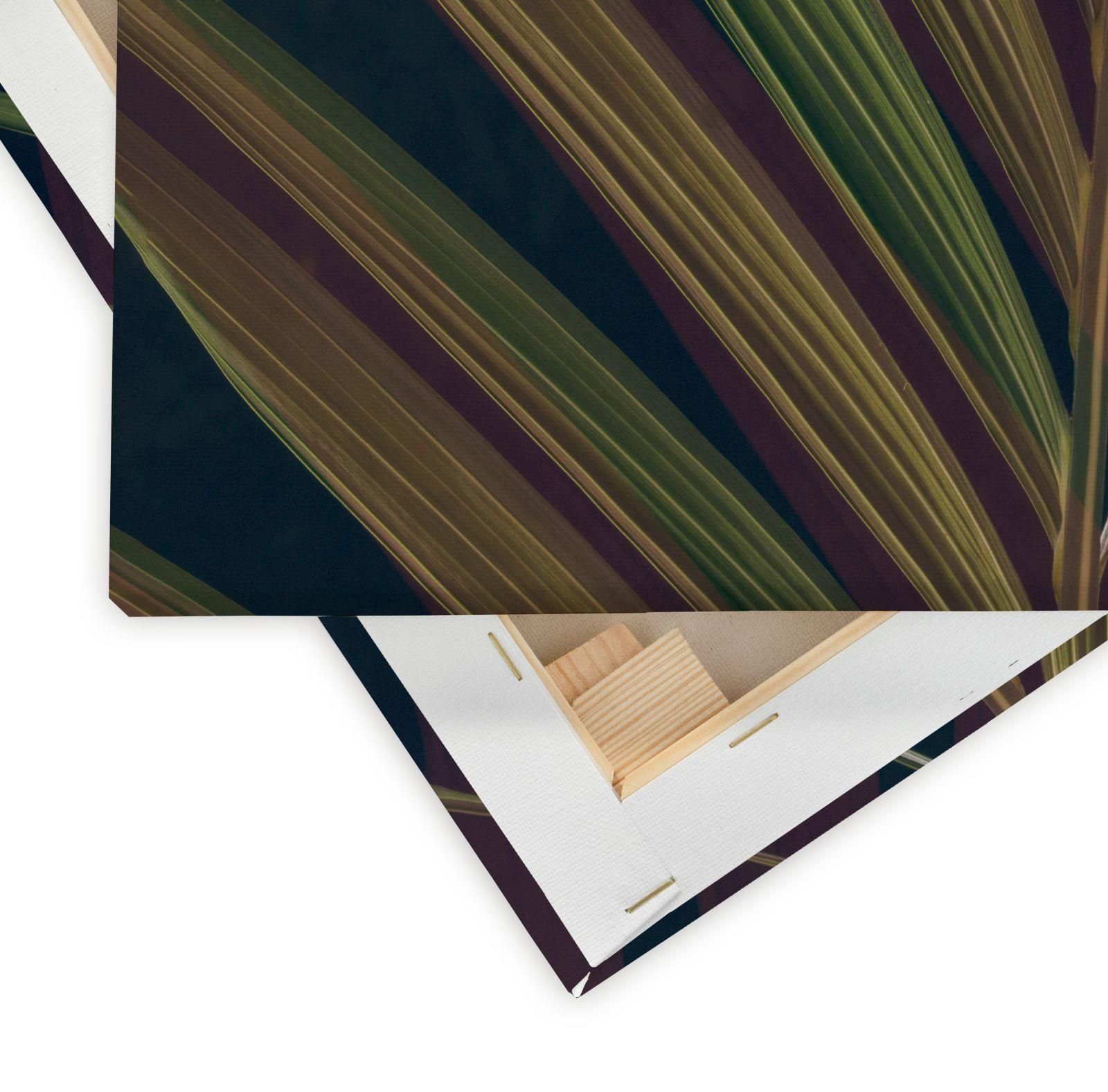 Art Group Dark Tropics Ii Obraz Na Płótnie 40x50 (WDC13013) - Opinie i ...