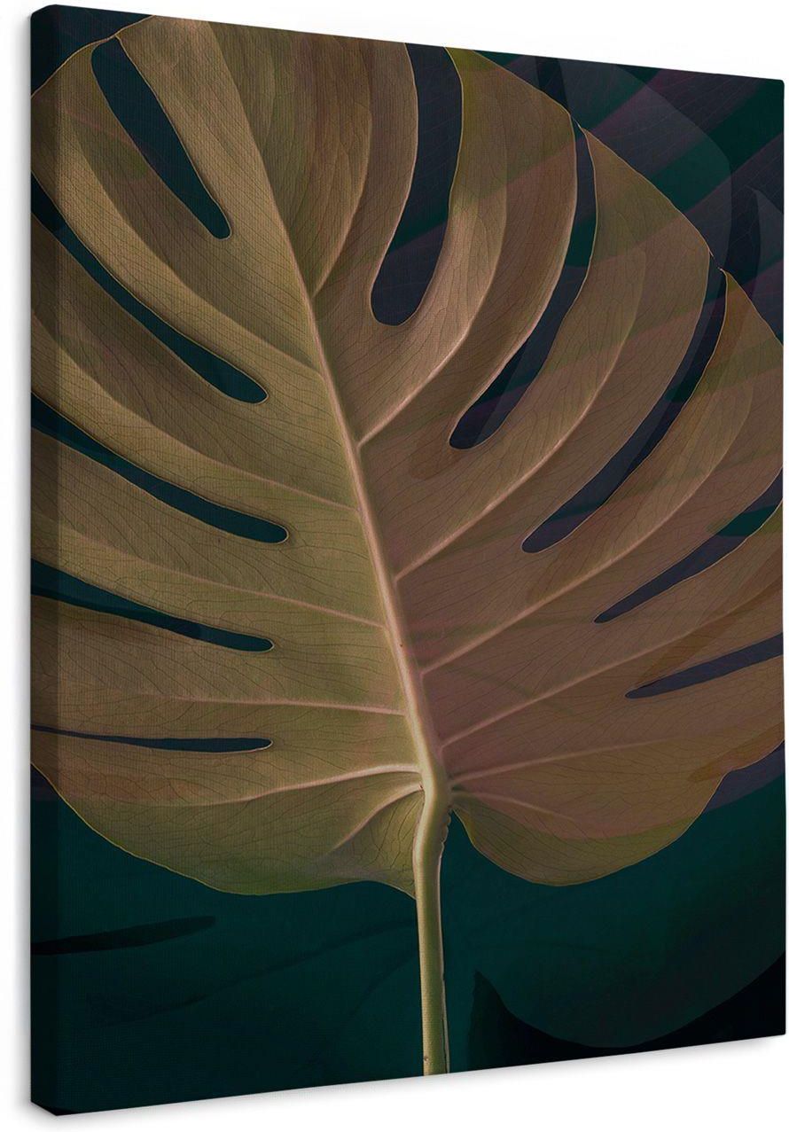 Art Group Dark Tropics Iii Obraz Na Płótnie 30x40 (WDC12264) - Opinie i ...