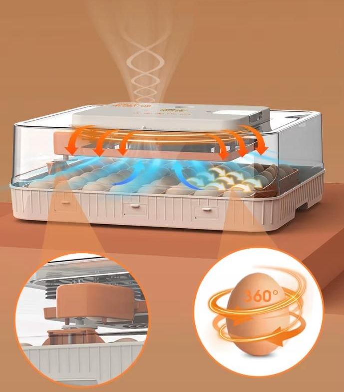 Aquos Inkubator Automatyczny Klujnik Wylęgarka Drobiu 56H Podajnik Wody ...