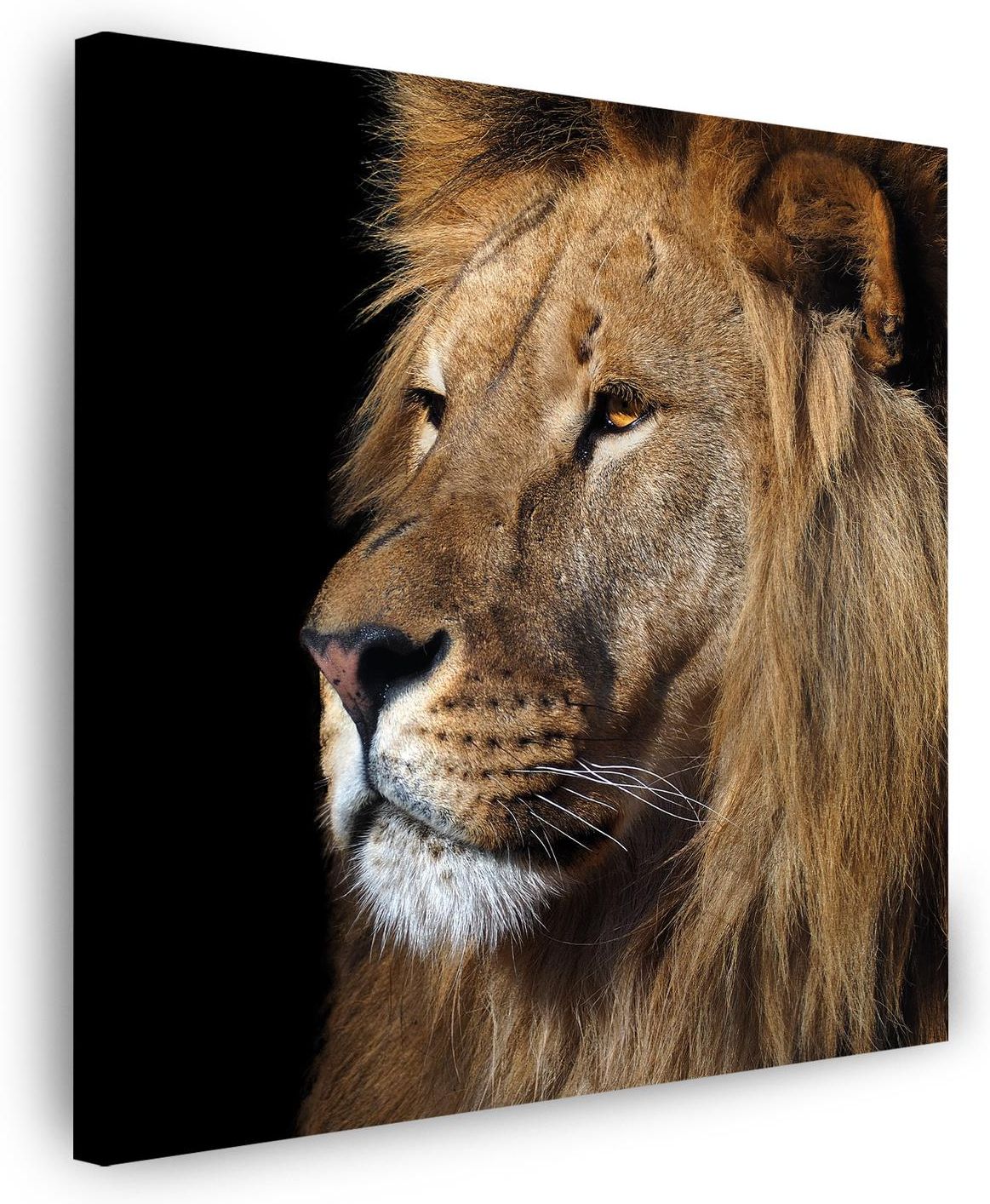 Mpink Obraz Na Płótnie Groźny Majestatyczny Lew Zwierzę 40X40Cm ...