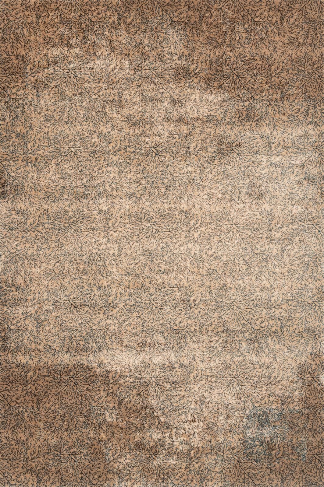Agnella Agnella Corail Jasno Beżowy Calisia 170x240cm - Opinie i ...