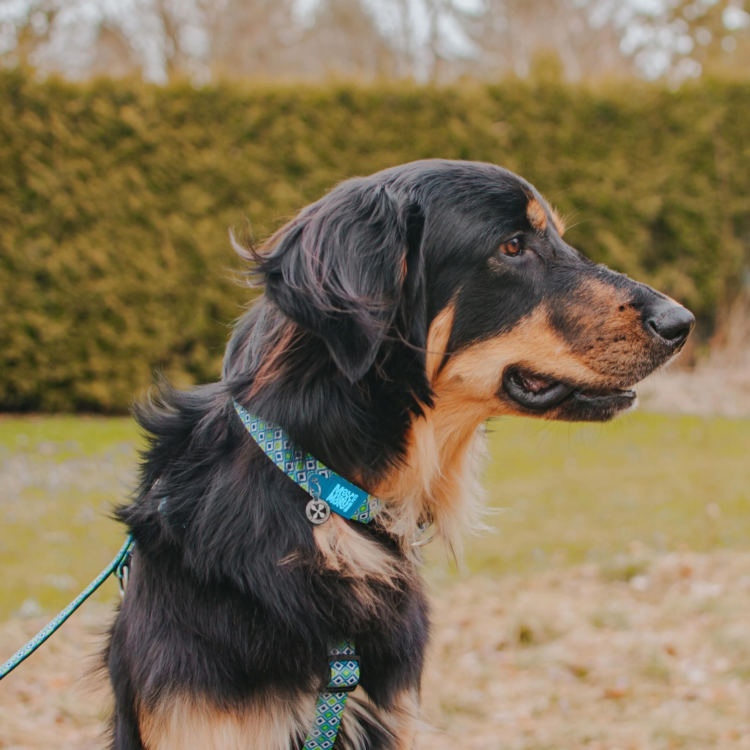 Max&Molly Smart ID Retro Collar obroża z zawieszką smart Tag dla psa L ...
