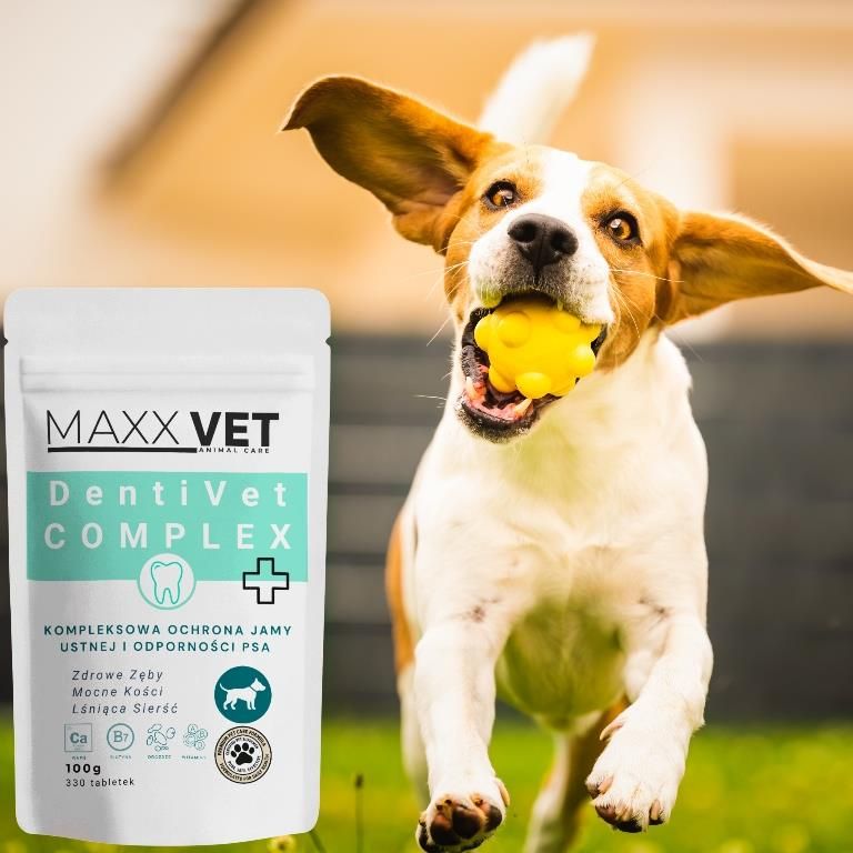 Zestaw Immu Vita+ 350 Tab. Dentivet 330 Tab. Odporność Zdrowe Zęby Psa ...