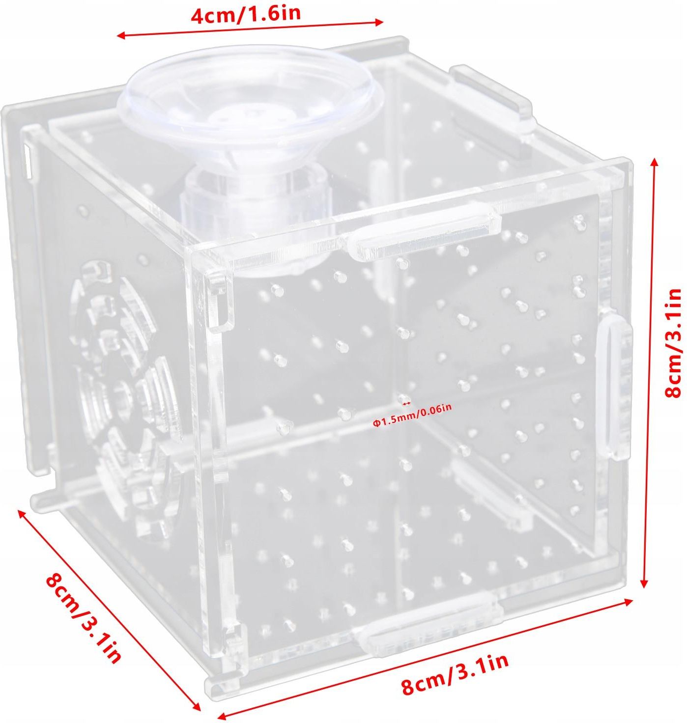 Y Kotnik Dla Ryb Do Akwarium Plastikowy Przezroczysty Pływający 8X8X8cm ...