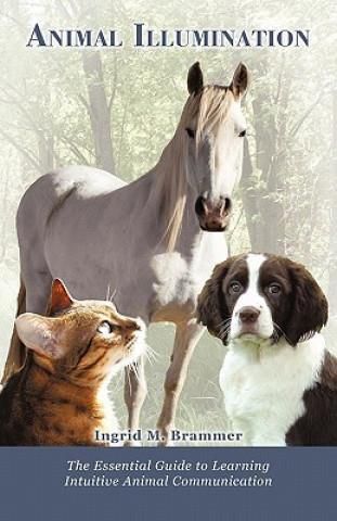 Animal Illumination: The Essential Guide to Learning Intuitive Animal ...