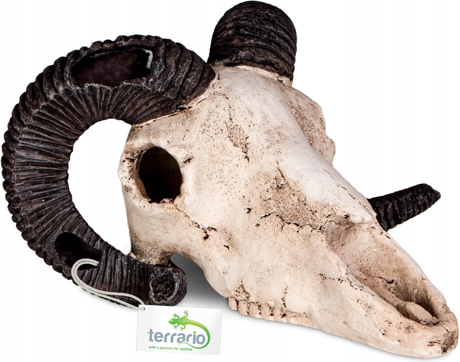 Terrario Czaszka Barana Z Rogami Dekoracja Do Terrarium Akwarium ...