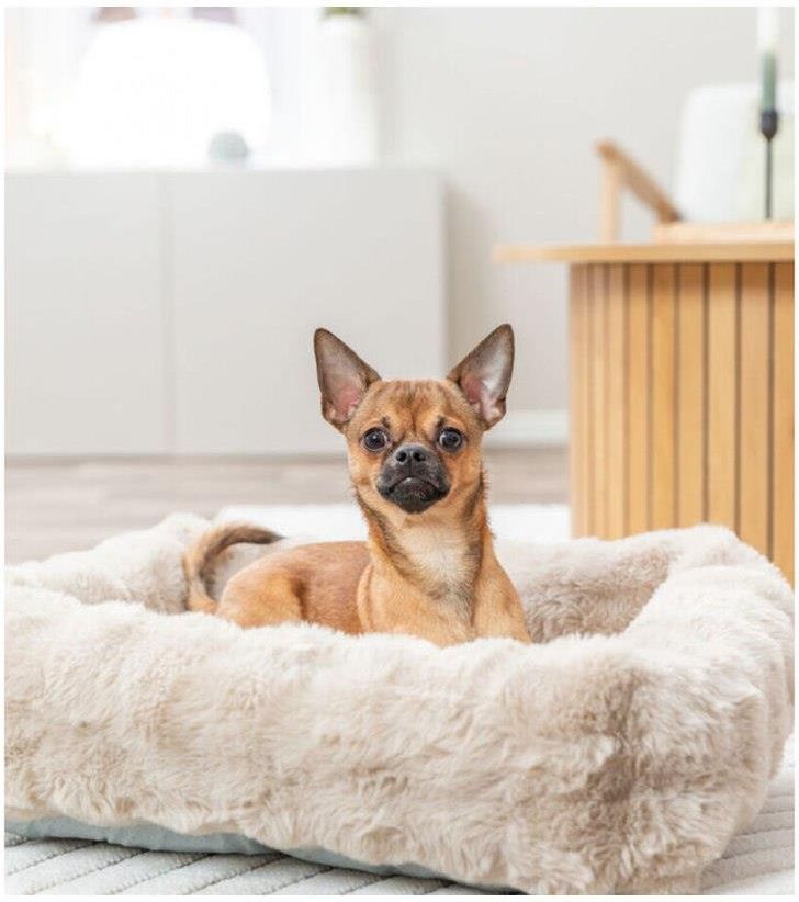 Trixie Legowisko Dla Psa Piasek 60x50Cm - Ceny i opinie - Ceneo.pl