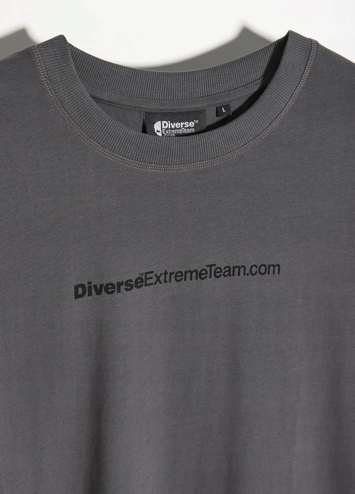 Diverse Extreme Team koszulka męska t-shirt Dext Logo 04 Grafit L ...