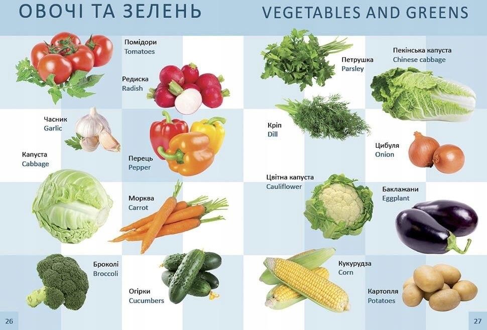 Перша книга малюка/Baby's first book - Ceny i opinie - Ceneo.pl