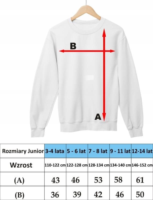 Bluza Roblox Dziecięca Bez Kaptura Czarna 140 CM 9-11 Lat WZ2 - Ceny i ...