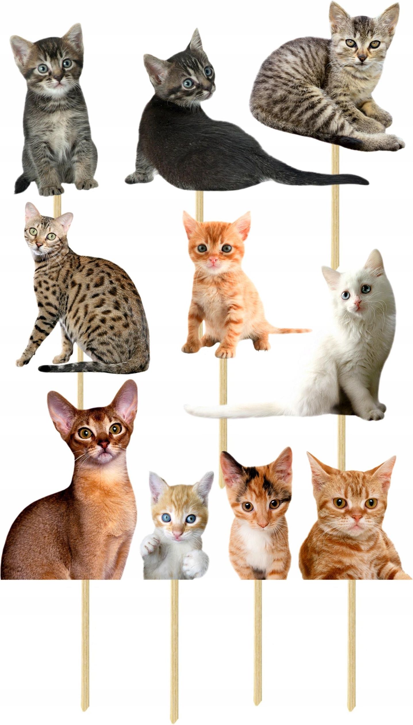 Topper Na Tort Na Urodziny Koty Kotki Zestaw 10 Sztuk - Ceny i opinie ...