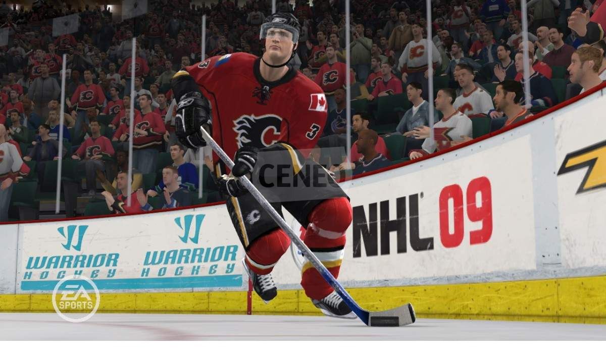 NHL 09 (Gra PC) - Ceneo.pl