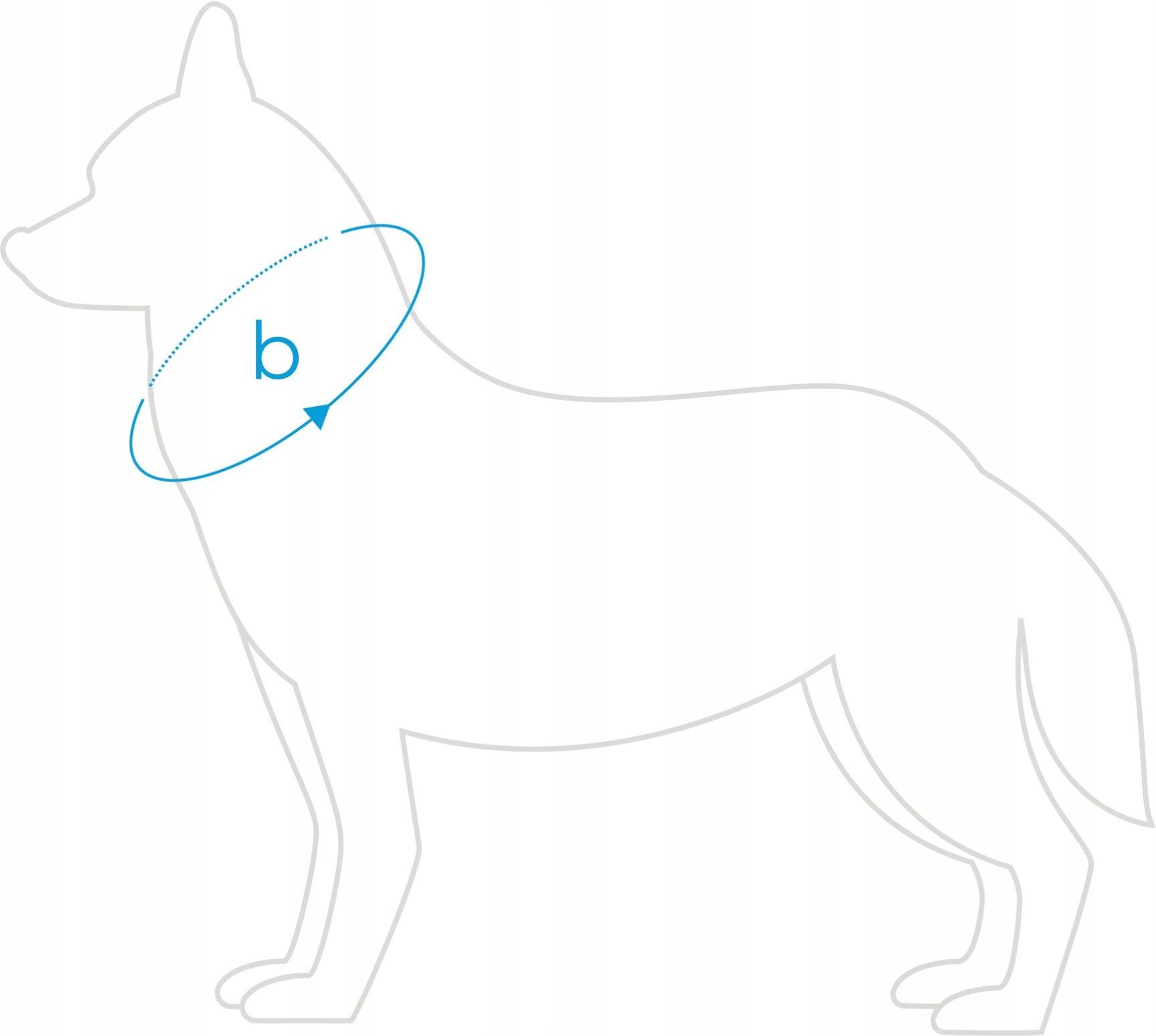 Amiplay Midnight Obroża Regulowana Na Zatrzask M Zielona Z Adresówką Qr ...