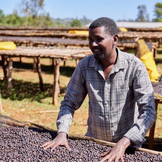 Kawa The Barn kawa ziarnista Etiopia Arsosala Reserve Washed Filter 250 ...