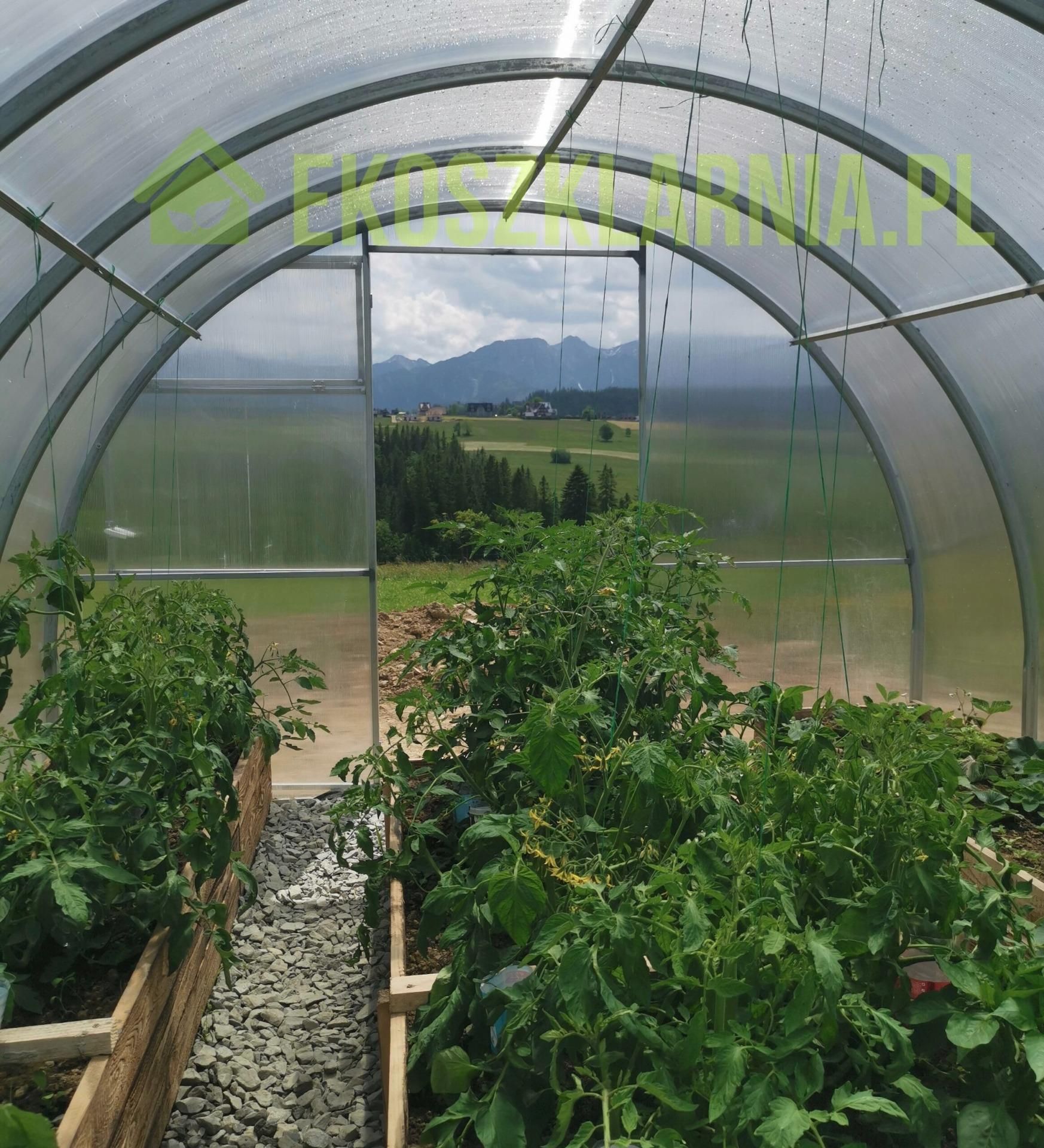 Szklarnia z poliwęglanu Tunel Ogrodowy 3x12 m profile 40x20 poliwęglan ...