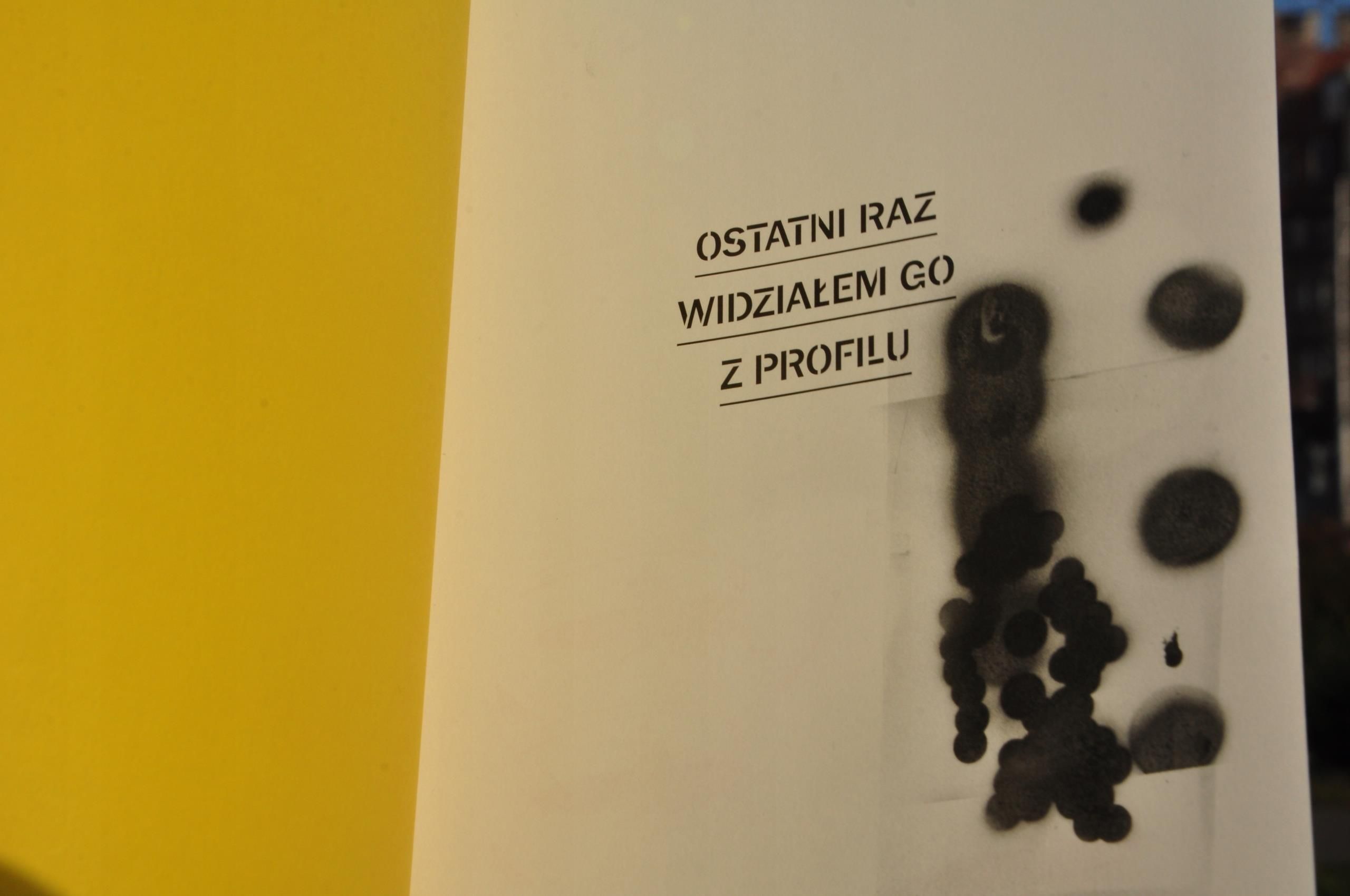 Książka Andrzej Zamojski, Ostatni raz widziałem go z profilu - Ceny i ...