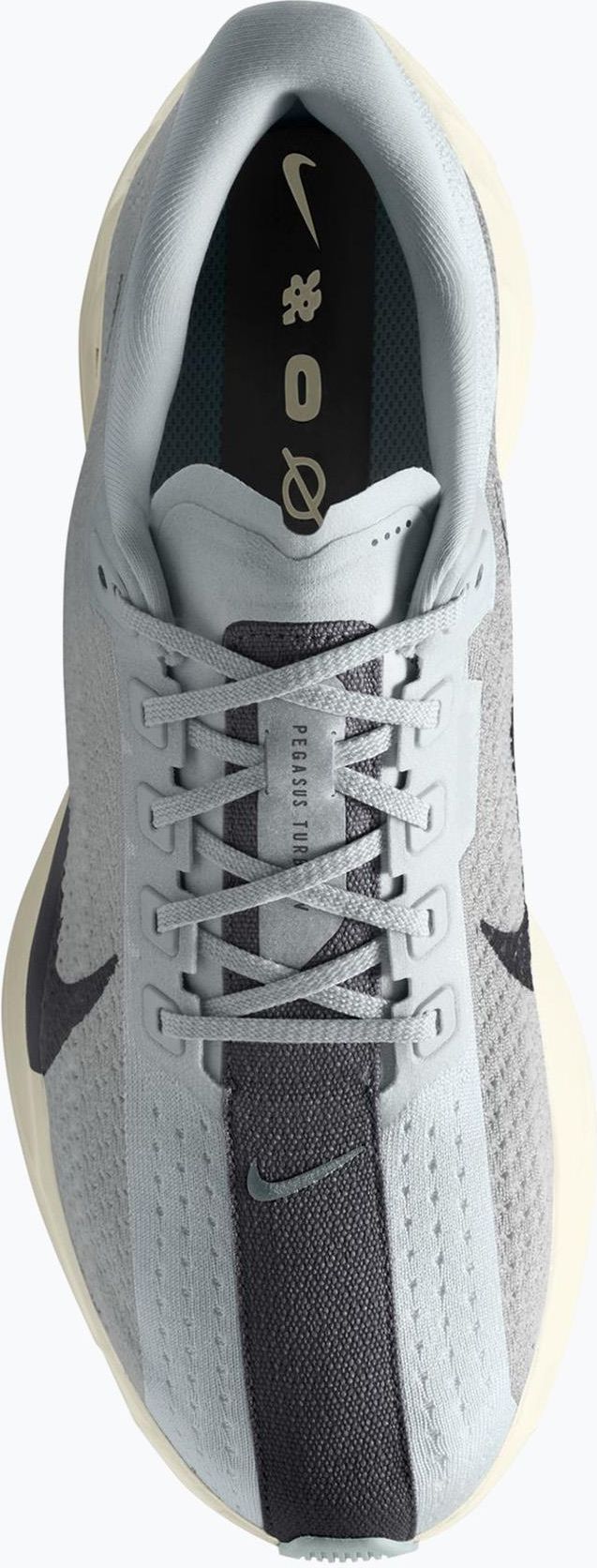 Buty do biegania męskie Nike Pegasus Plus pure platinum/wolf grey/sail ...