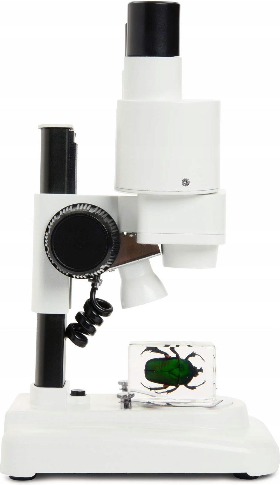 Celestron Labs CL-S20 44207 mikroskop stereo (44207CGL) - Ceny i opinie ...