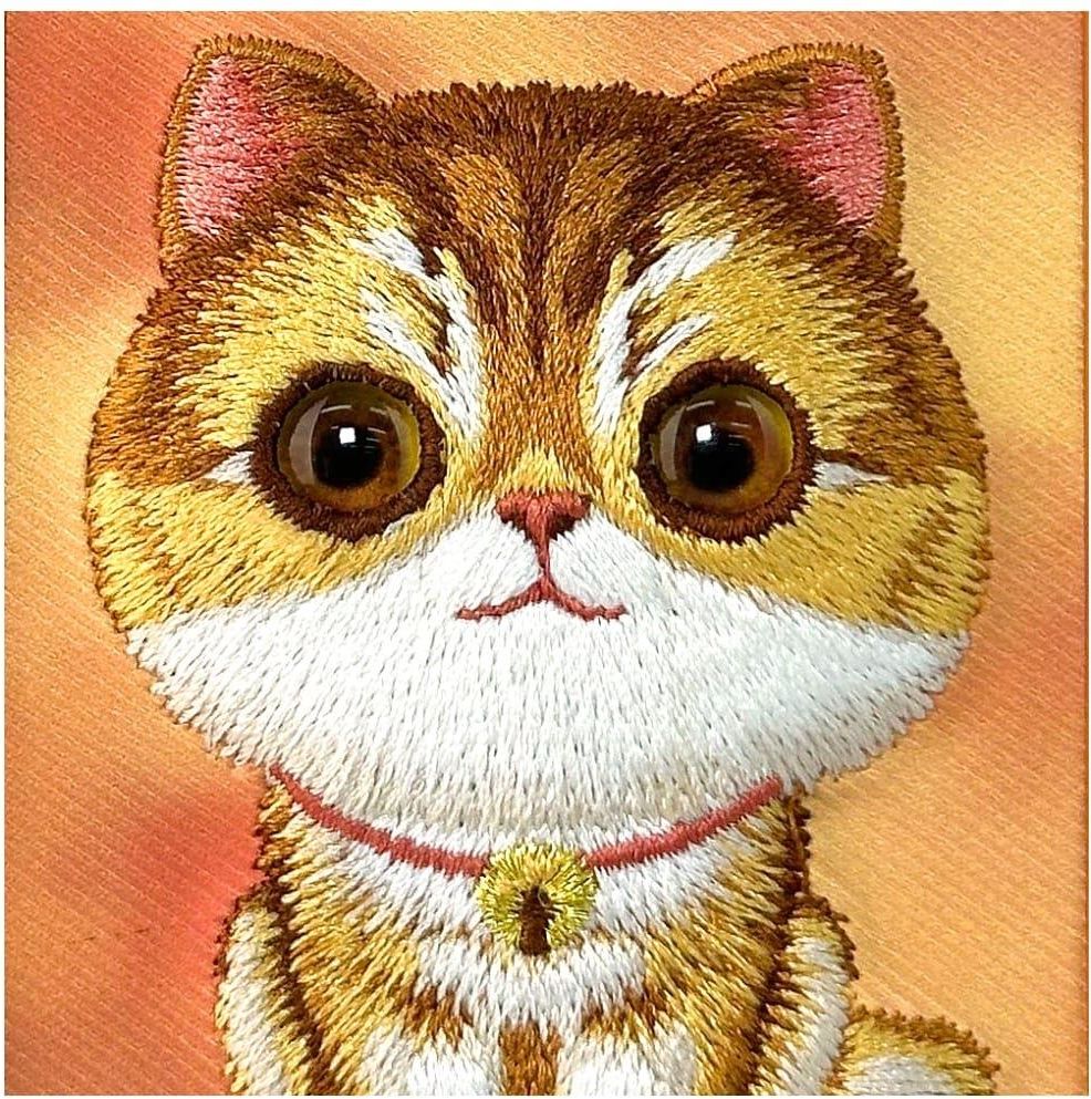 Nimmy Etui Big Eyed Pet 2 0 Cat Do Iphone 17 Pro Max Pomarańczowy ...