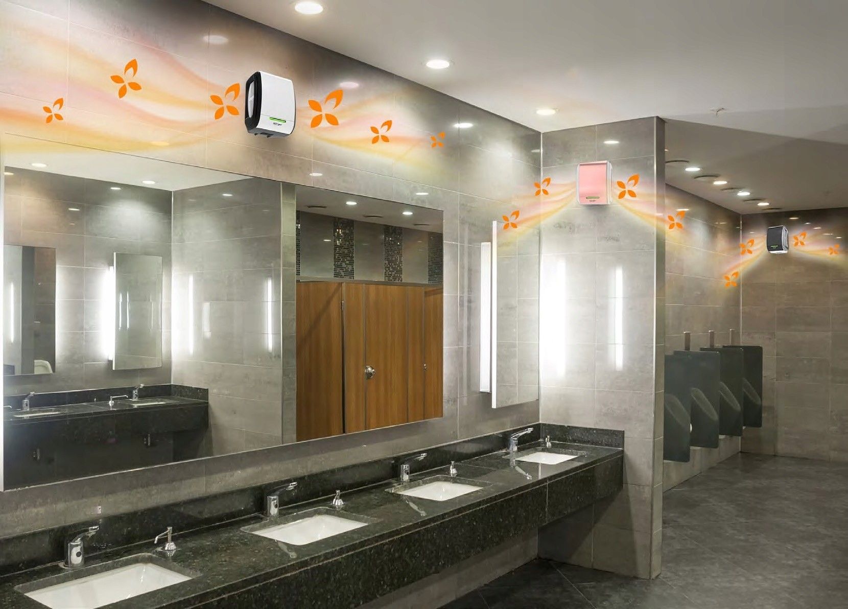 OXYGEN dyfuzor - Opinie i atrakcyjne ceny na Ceneo.pl