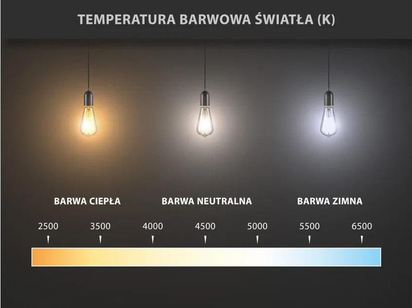 Mexen Żarówka LED GU10 3W Zimna 6500K 315lm L107-GU10-0365-01x03 ...