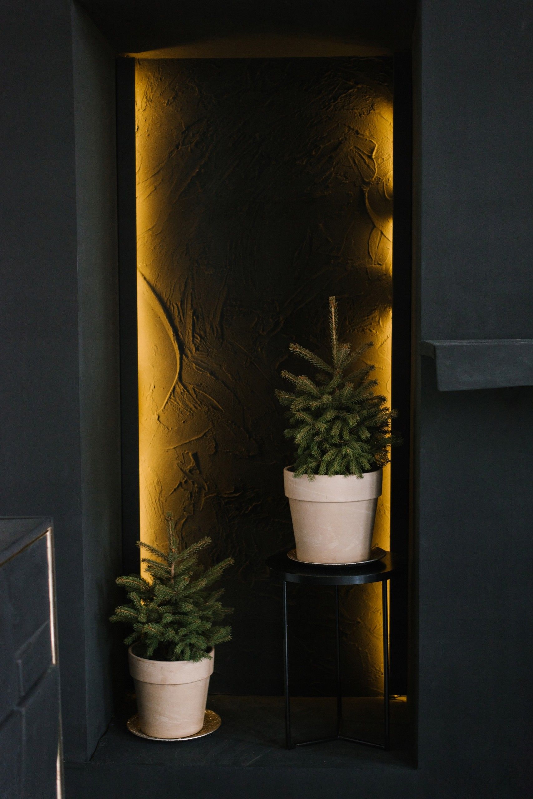 Prescot Taśma Led Premium 12V Slim 4mm 120led 3000K 1000lm SMD2835 5 ...