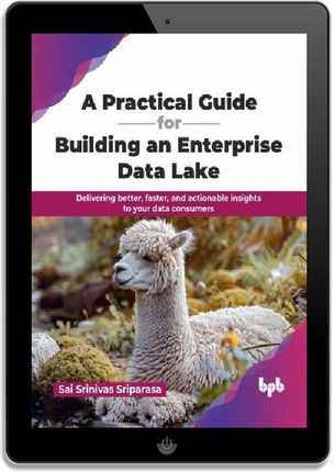 A Practical Guide for Building an Enterprise Data Lake (ebook) - Ceny i ...
