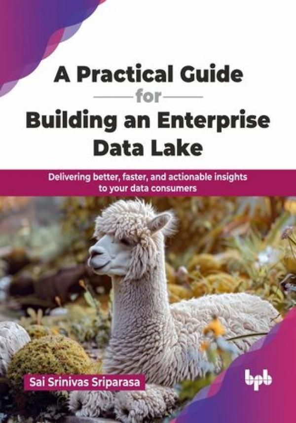 A Practical Guide for Building an Enterprise Data Lake (ebook) - Ceny i ...