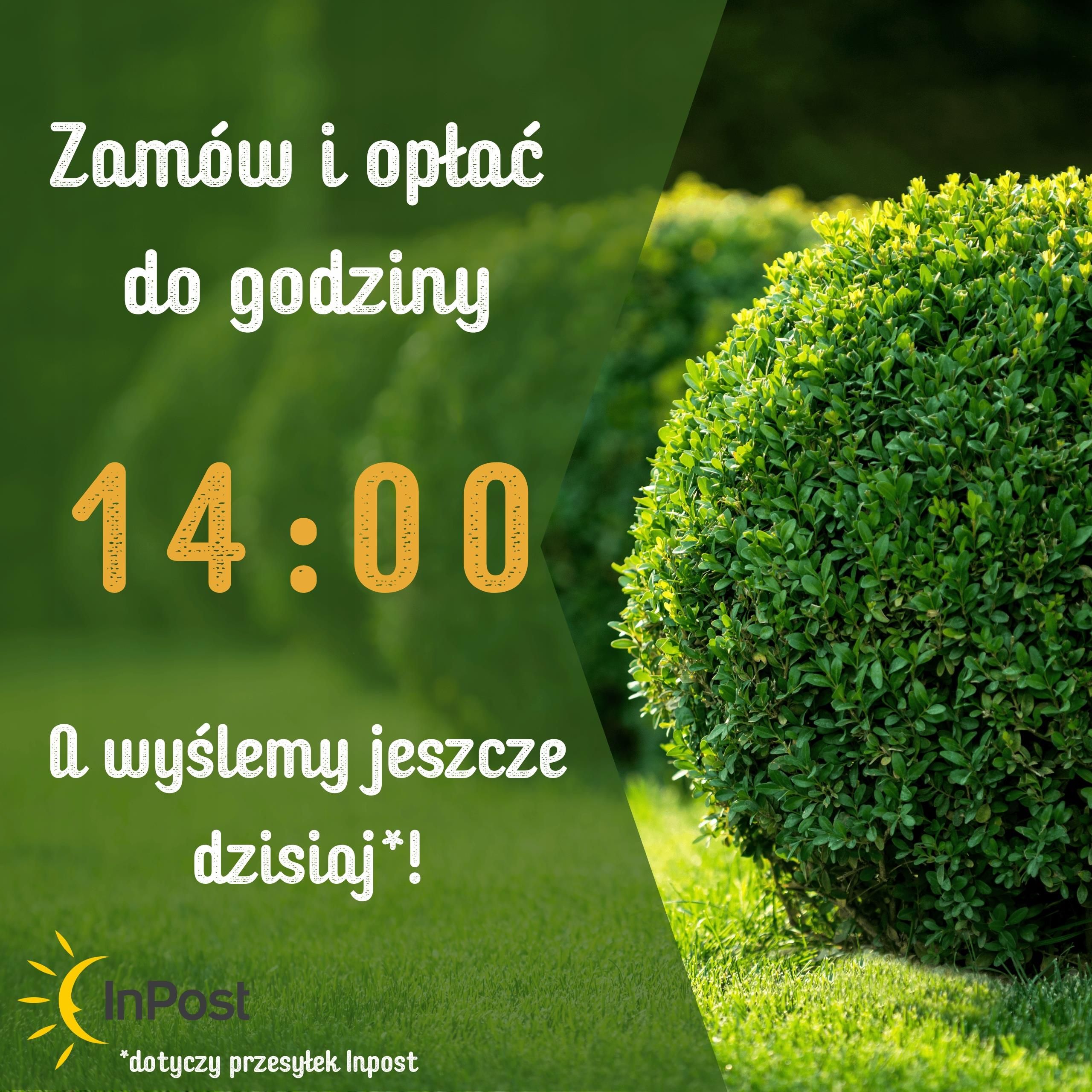 Nv Korbowód Silnika Spectra Tecumseh 3,7-4 Hp Modele 33661 32875 490566 ...