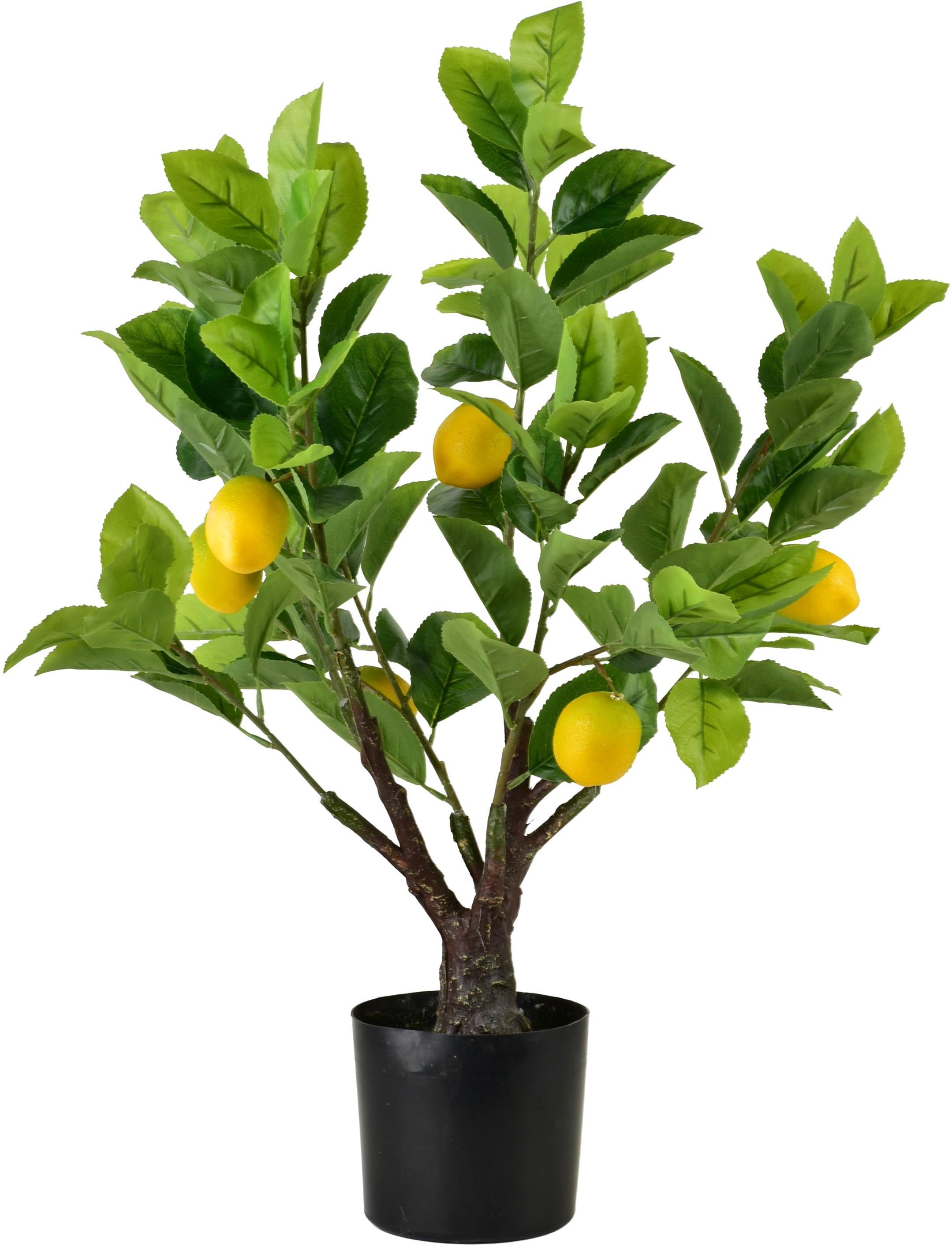 Mondex Home Sztuczny drzewko cytrynowe żółte 70cm HTQC1929003IPV ...