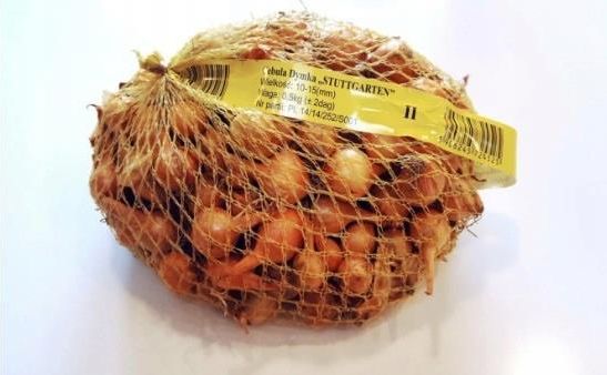 Cebula Dymka Stuttgarter Do Sadzenia 500G - Ceny i opinie - Ceneo.pl