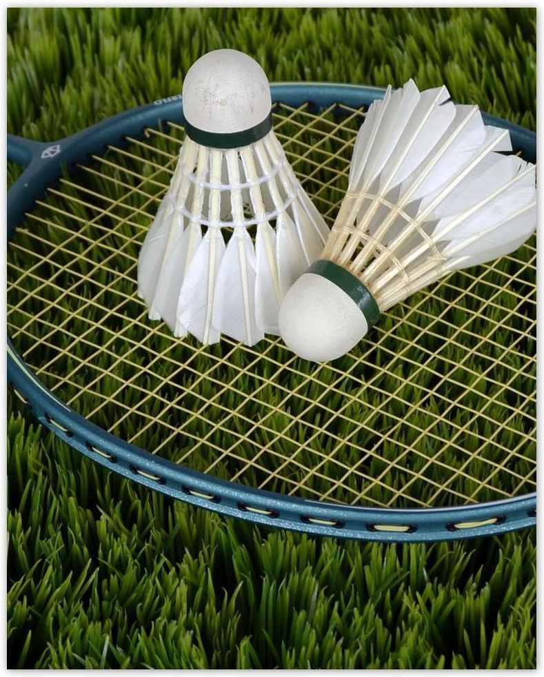 Naklejki Na Ścianę 40x50cm Badminton Lotka i Rakieta - Opinie i ...