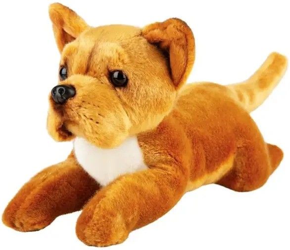 Suki Plusz Pies Staffordshire Bull Terrier - Ceny i opinie - Ceneo.pl