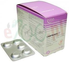 Carprodyl F 100 Mgx10 Tabletek Blister - Ceny i opinie - Ceneo.pl