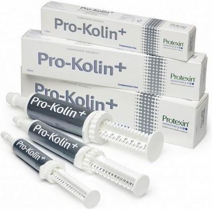 PRO KOLIN PLUS PROBIOTYK W TUBIE 15 ML - Ceny i opinie - Ceneo.pl