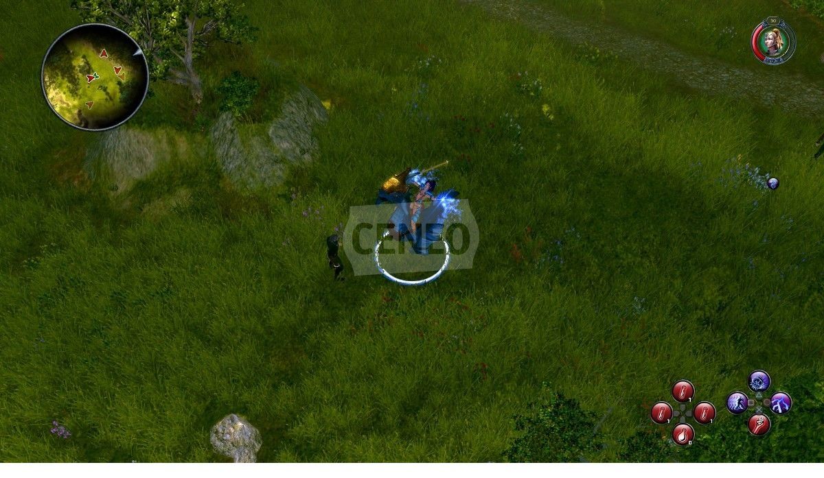 Sacred 2: Fallen Angel (Gra PS3) - Ceneo.pl