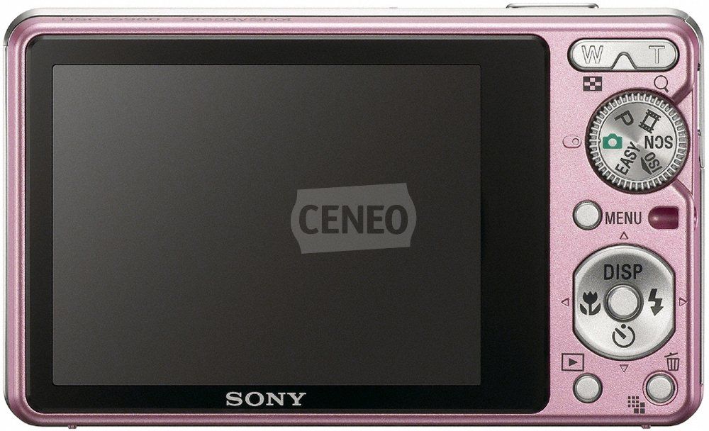 Aparat cyfrowy Sony Cyber-shot DSC-S980 - Ceny i opinie na Ceneo.pl