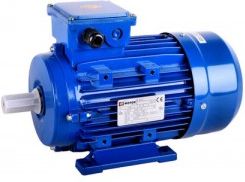 Promotor Silnik Elektryczny 3,0kW 1400/400V (MS100 L2-4) - Opinie i ceny na Ceneo.pl