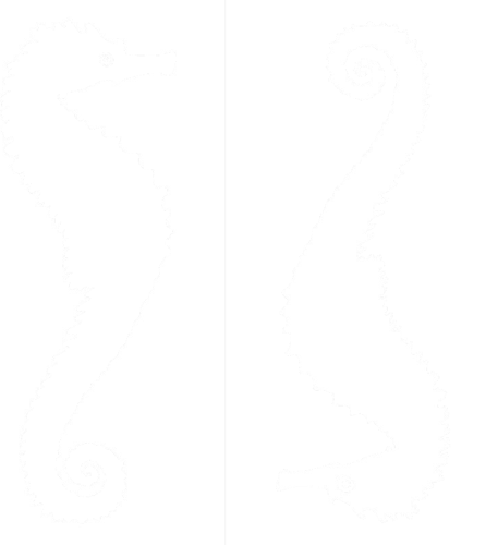 Oklejaj.pl Naklejka Na Ścianę Koniki Morskie - Opinie i atrakcyjne ceny ...