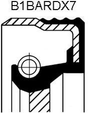 Mechanizm rozrządu Pierścień uszczelniający wału, wał korbowy CORTECO ...