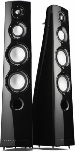 MORDAUNT -SHORT (Performance 6 LE) - Opinie i ceny na Ceneo.pl