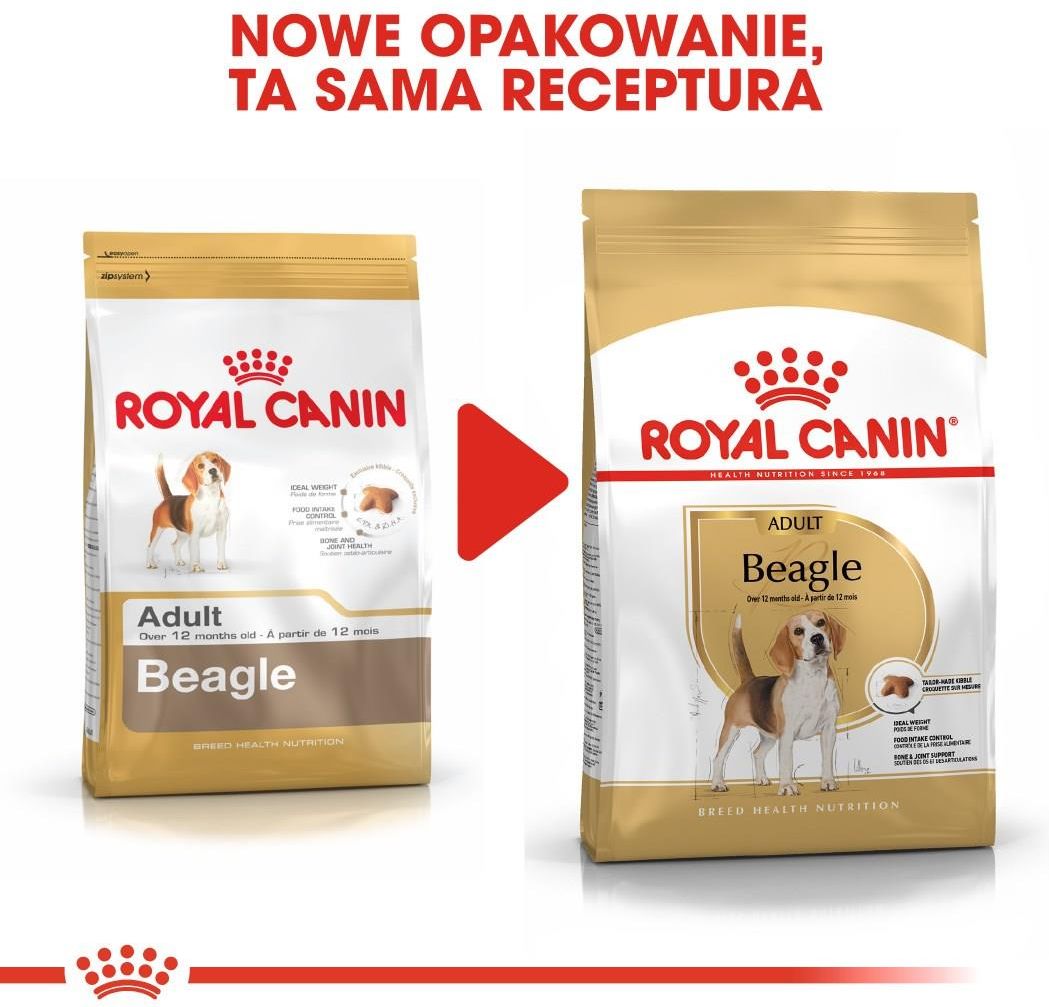 Karma Royal Canin Beagle Adult 12kg - Ceny i opinie - Ceneo.pl