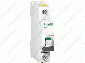 Schneider IC60N 1P 2A C A9F04102 - Opinie i ceny na Ceneo.pl