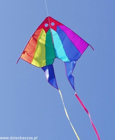 Didakites Latawiec Delta 806 - Ceny i opinie - Ceneo.pl