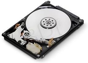 Dysk serwerowy HGST Ultrastar C10K900 900GB (HUC109090CSS600) - Opinie ...